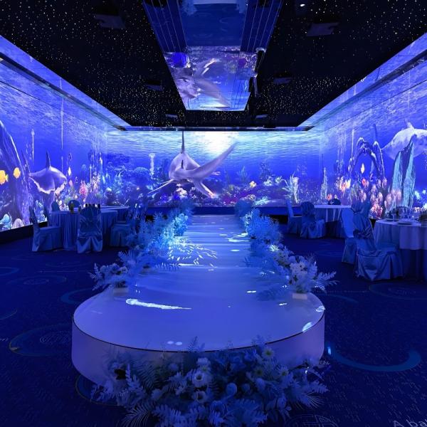 Quality Northern Lights 3D Holographic Projection Interactive Gaming Projector for sale