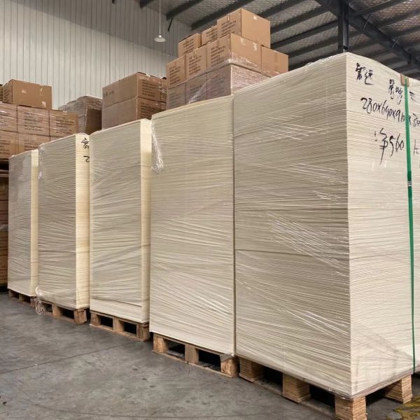 Quality Double PE Coated Paper Cup Sheet 260GSM Flexo Printed for sale