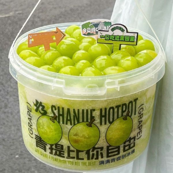 Quality Conveniently Pack Food with This Heat Transfer Printed Plastic Food Container for sale