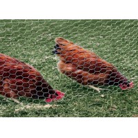 Quality 0.5-2m Chicken Wire Mesh Netting , Hexagonal Poultry Wire Mesh for sale