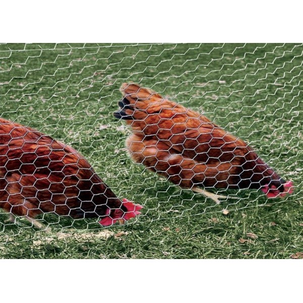 Quality 0.5-2m Chicken Wire Mesh Netting , Hexagonal Poultry Wire Mesh for sale