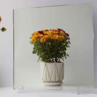 Quality 4ft X 3ft 5x7 4x8 Wall Glass Mirror Sheet With Green Back Paint for sale