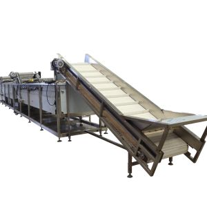Quality Stainless Steel Apple Processing Line With PLC Control System 25kw 50Hz for sale
