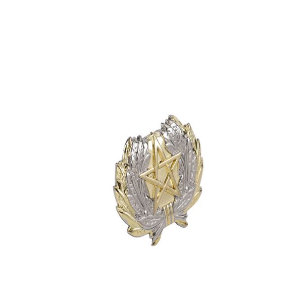 Quality Personalized Sheriff Detective Police Metal Badge Chinese Logo Pentagram Lapel for sale