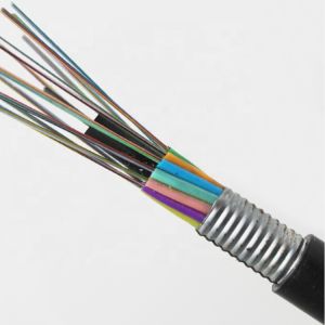 Quality Multi Mode 50/125 Armored Fiber Optic Cable For Underground Anti Rodent Gyta for sale