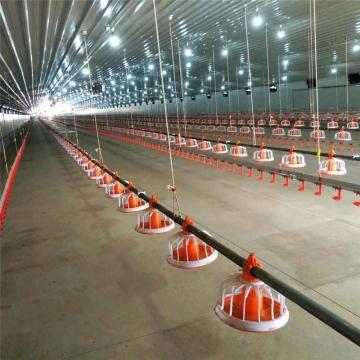 Quality 1g-99g Poultry Feeding Equipment Automatic Poultry Feeder System for sale