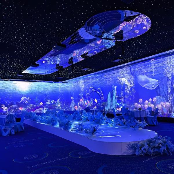 Quality Northern Lights 3D Holographic Projection Interactive Gaming Projector for sale