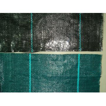 Quality Hdpe Woven Ground Cover Fabric for sale