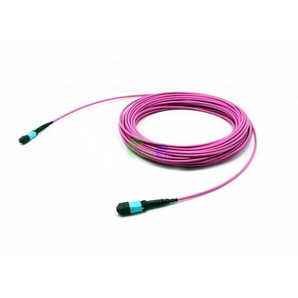 Quality OM4 50/125μm Multi - Mode MTP Trunk Cable , 3.0mm Jacket OD MTP 12 Fiber for sale