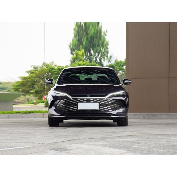 Quality Tires 225/50 R18 Customizable Byd Qinl 2024model Dm-I 120km Excellence Version for sale