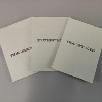Quality Custom Design Folded Instruction Booklet Different User Manual Printing for sale