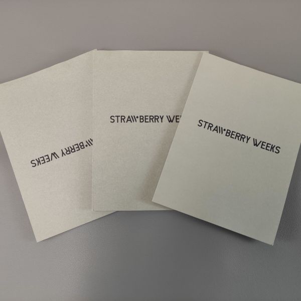 Quality Custom Design Folded Instruction Booklet Different User Manual Printing for sale