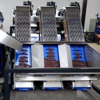Quality Stainless Steel 12 Channels Nuts Sorting Machine For Macadamia for sale