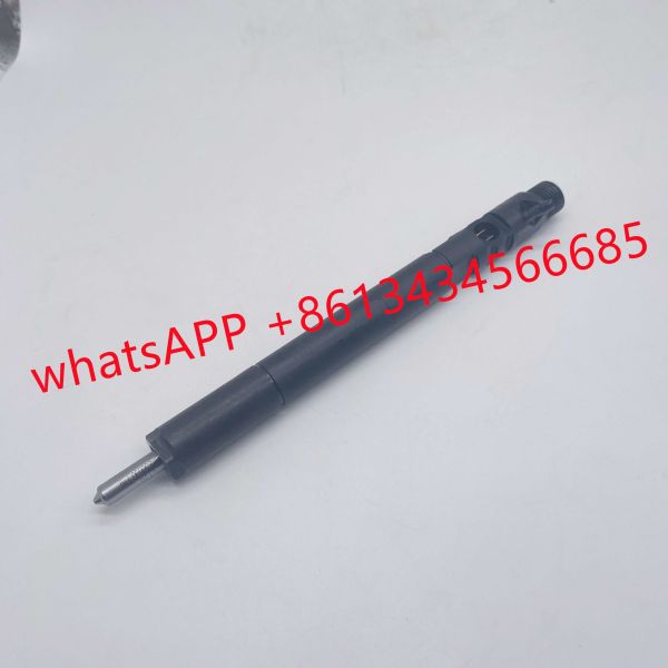 Quality Dacia Logan Renault 1.5D Common Rail EJBR02101Z Diesel Injector for sale