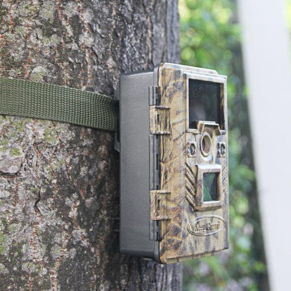 Quality Batteries Operated Digital Wildlife Camera Infrared Animal Trail Video for sale
