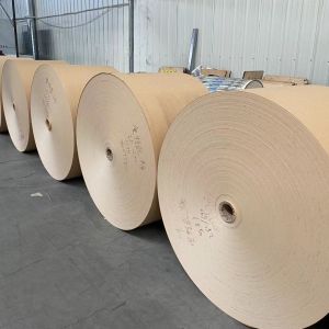 Quality PE Coated Kraft Paper for sale