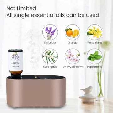 Quality Smart Waterless Essential Oil Aroma Diffuser▕ DN-850 for sale
