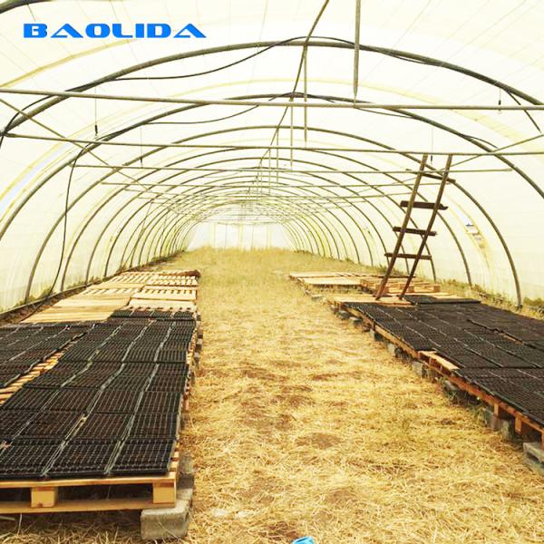 Quality Vegetable Growth Plastic Film Greenhouse All Season Growing Agricultural for sale