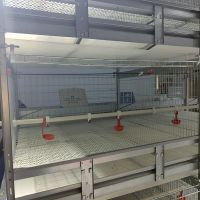Quality 3-9 Floor Farm Battery Chicken Cage With Automatic System for sale
