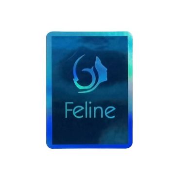 Quality Matte Double Layer Labels Reflective Custom Holographic Labels for sale