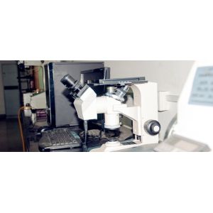 China Factory - JIAXING VIIPLUS INTERNATIO NAL CO.,LTD