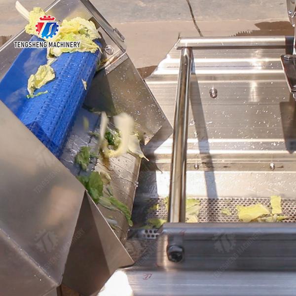 Quality Bubble washing vibration air drying production line Orange Vegetable Herbs Fruit for sale