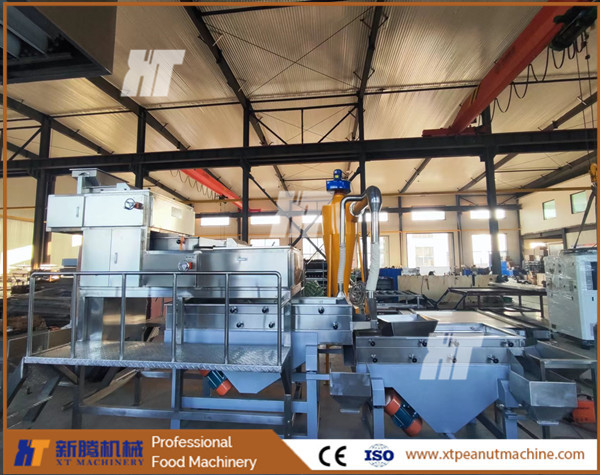 Quality Sunflower Groundnut Crusher Pumpkin Seeds Almond Peanut Chopper Machine for sale