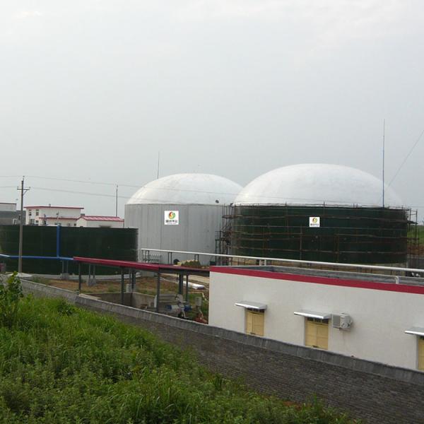 Quality Hybrid UASB Anaerobic Reactor Upflow Anaerobic Sludge Bed Reactor for sale