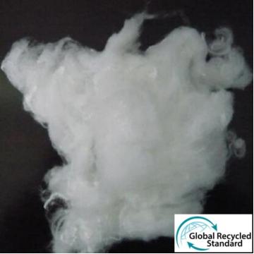 Quality GRS 7D Hollow Conjugated Siliconized Polyester Fiber REACH for sale