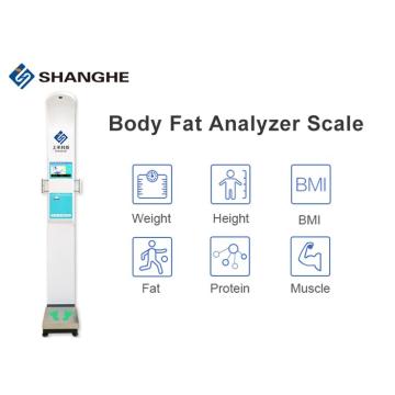 Quality Eletronic Balance Body Composition Analyzer Machine , White Medical Body for sale