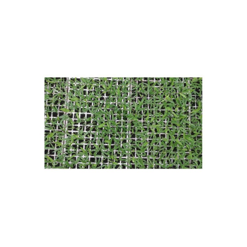 EPS200 seedling tray front view