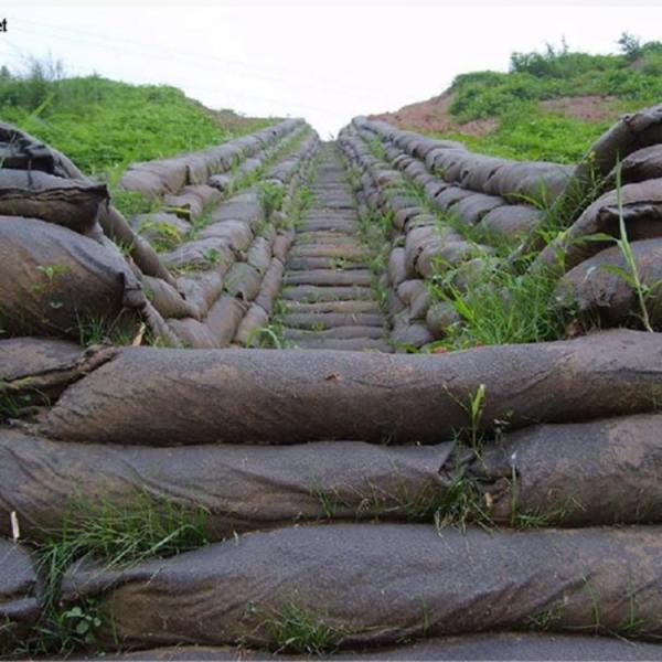 Quality Environmental Projects Nonwoven Geotextile Geobag With Seeds for sale