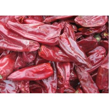 Stemless Dried Guajillo Chile Peppers Heb Block Shape Without Stem