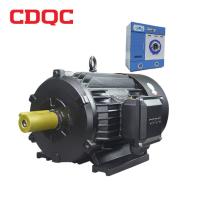 Quality CDQC V/F Asynchronous Variable Frequency Induction Motor Black Squirrel Cage for sale