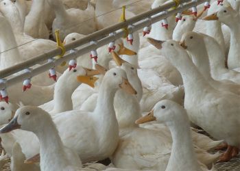 China Factory - Langfang Sun Never Setting Plastic Products Co., Ltd.