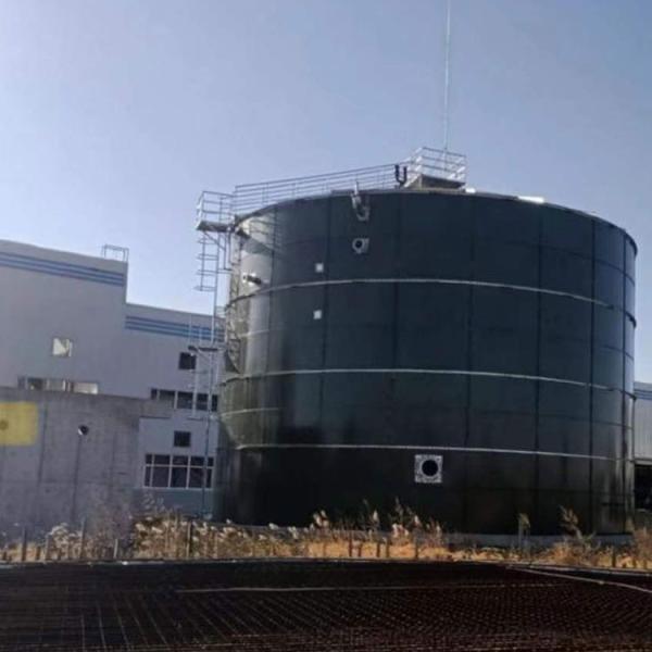Quality CH4 CO2 Biogas Plant Project Q235B Biogas Cogeneration Plant for sale