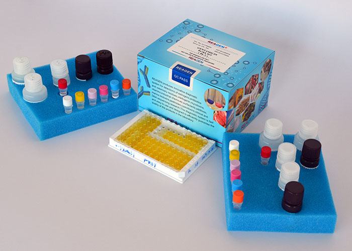 High Accurate Beta-Lactam ELISA Testing Kit , 96 Test Food Safety ...