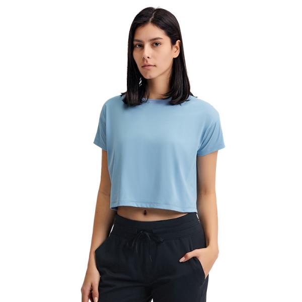 Quality Sweat Wicking Gym T Shirts Half Sleeves for sale
