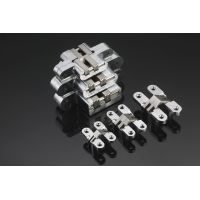 Quality CE Electroplating Mortise Mount Invisible Hinge Heavy Duty Soundproof for sale