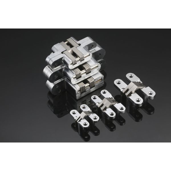 Quality CE Electroplating Mortise Mount Invisible Hinge Heavy Duty Soundproof for sale