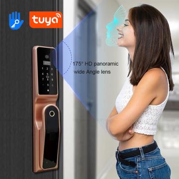 Quality TH-103D Face recognitional Door Lock for sale