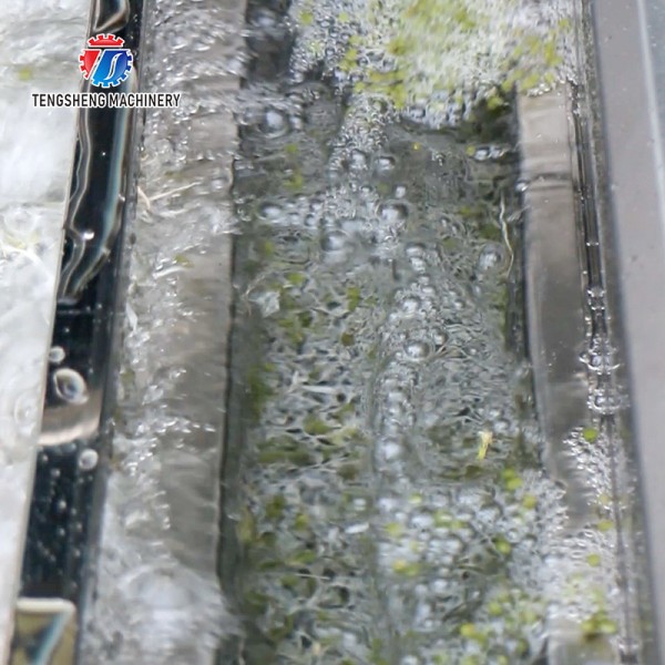 Quality Industrial Single Bubble Fruit And Vegetable Washing Machine 300KG/H for sale