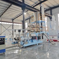 Quality Twin Screw Pet Food Extruder 2 - 5 Ton Dog Food Processing Equipment for sale