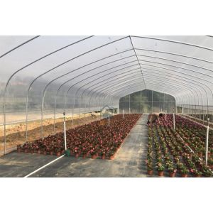Quality Hot Dip Galvanized Agricultural Green House Arched Poly Tunnel Green Houses for sale