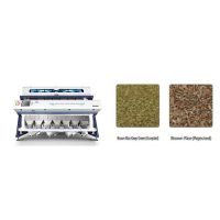 Quality Industrial 7 Chutes Black Rice Sorting Machine With Cloud Technology for sale