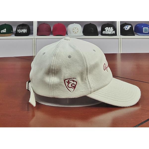 Quality Adults Sports Dad Hats Towel Fabric Customized Embroidery Logo for sale