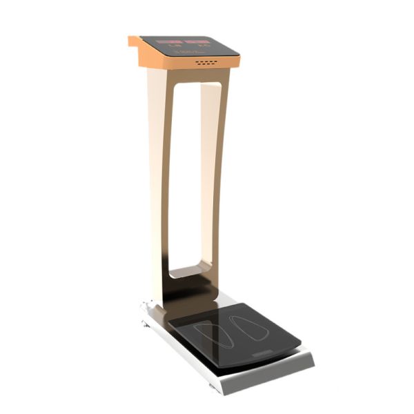 Quality 36*75*110cm Overall Size Standing Medical Adult Body Weight Scale with 0.1kg Accuracy for sale