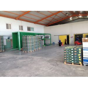 Quality 75kw Vegetable Vacuum Cooler R404A PLC Vaporizing Moisture for sale
