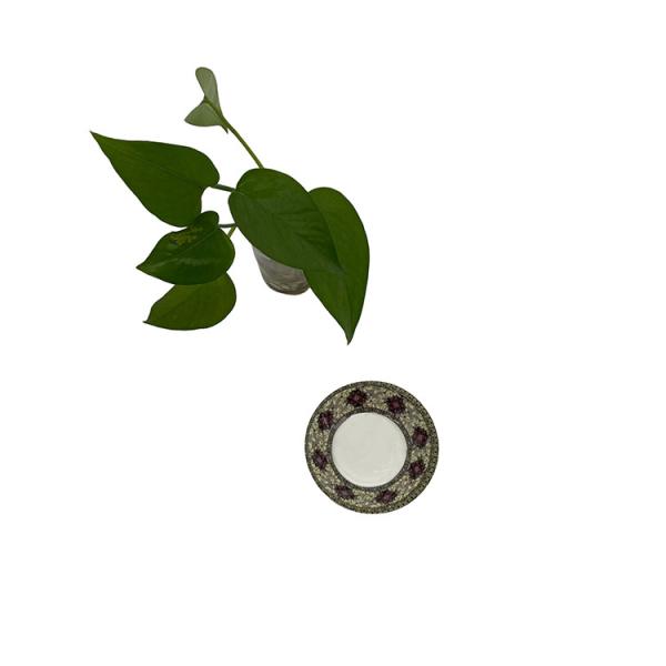 Quality Housewares Outdoor Unbreakable Dishes Melamine Non Toxic 531 Series for sale