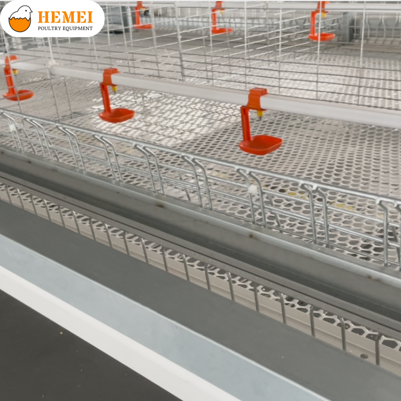 Quality Multi-Layer Integrated Adjustment for Broiler Cages for sale